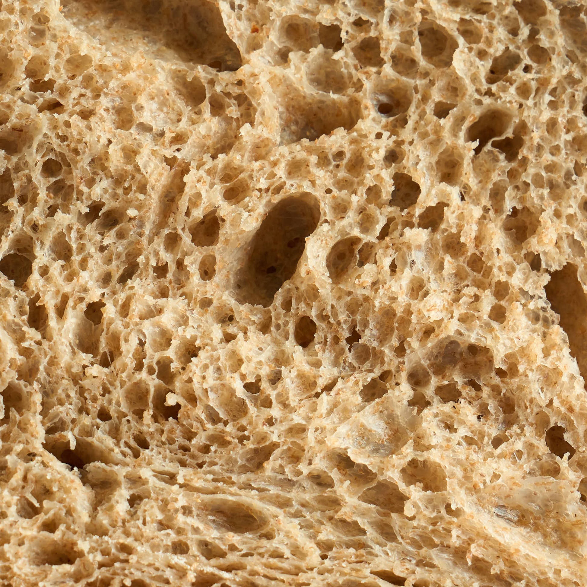 Pan de Masa Madre Integral – Con olor a Pan