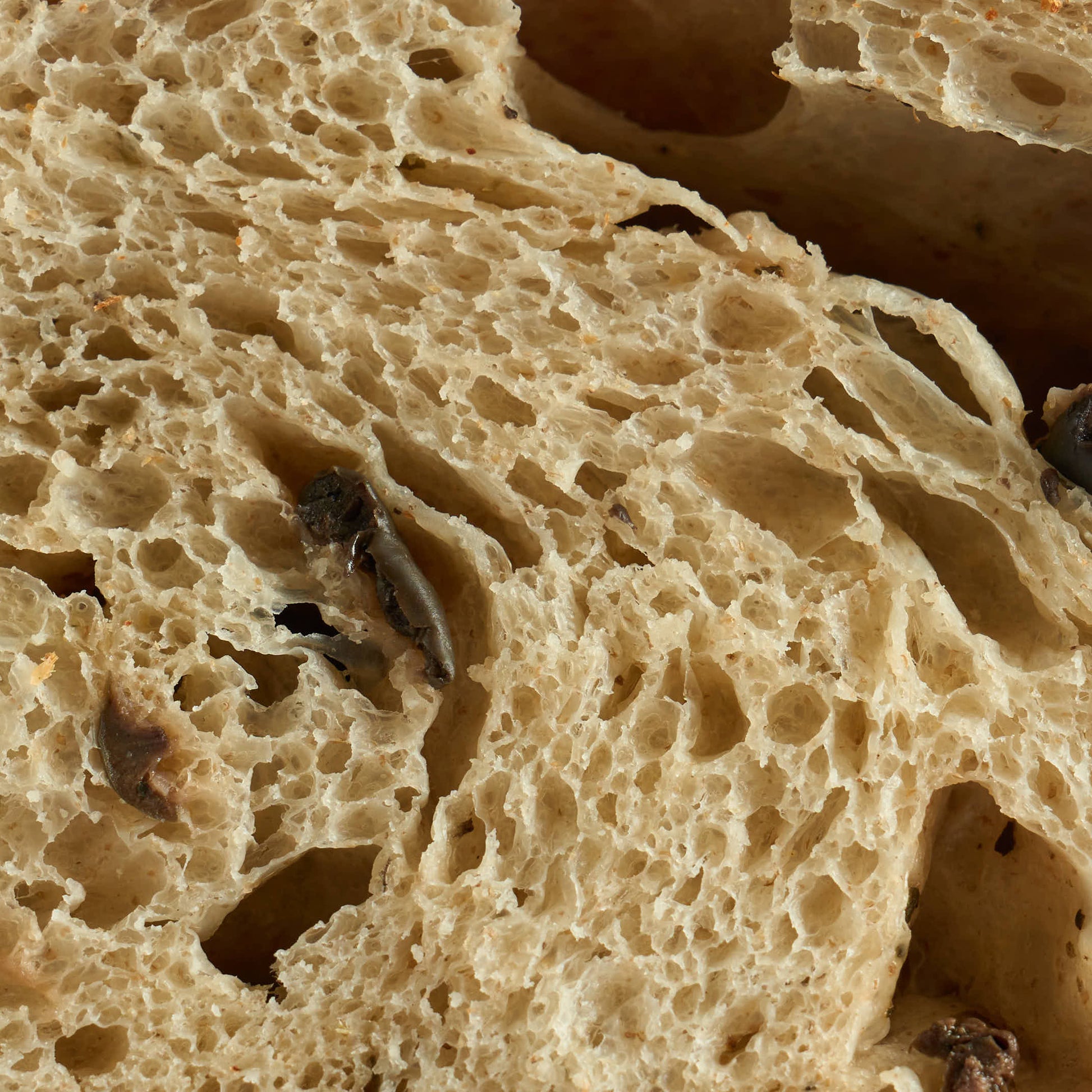 Pan de Masa Madre Mediterráneo – Con olor a Pan